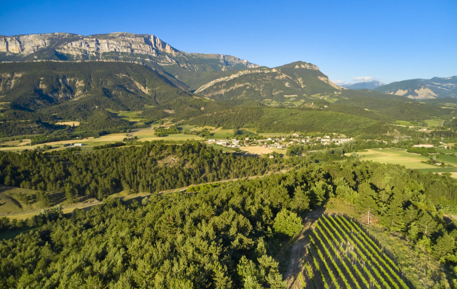 Clairette de Die - Maison Jaillance & caveau de vente à Die